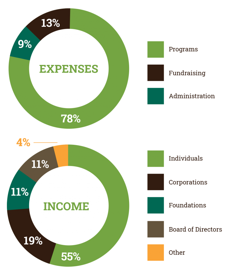 Who We Are - Roots of Development